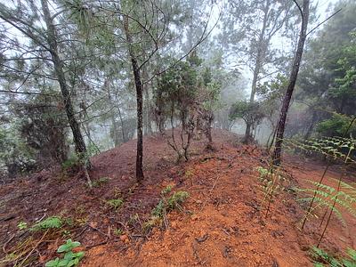 Corotos | Venta de Solar en Rancho Guaraguao Constanza