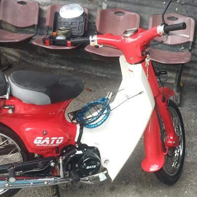 Corotos | Motor gato súper cub 110