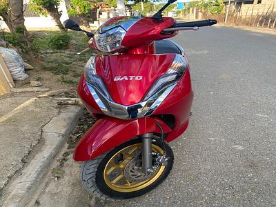 Corotos | Pasola gato Lead 150.