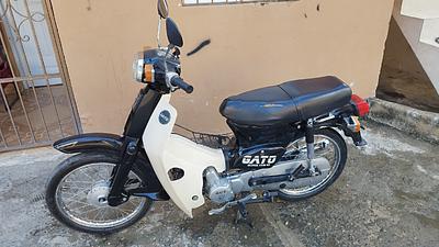 Corotos | Super cub 90 gato
