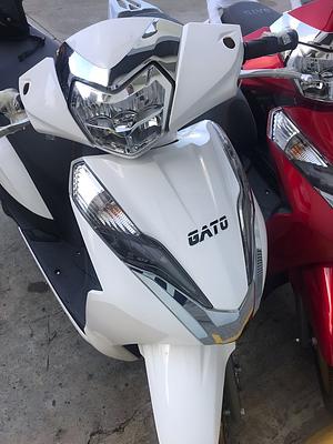 Corotos | GATO Lead 150 🔴 NUEVO 🔴 Pasola scuter 🔴 -bajaj platina gato ...