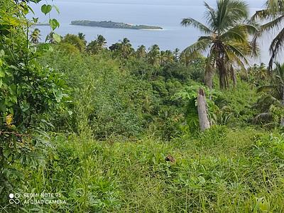 Corotos | Lote en la bella zona SAMANA en Monte Rojo 5,300 Mt2 Con ...
