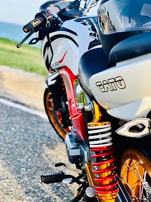 Corotos | Gato CG 300cc 2021